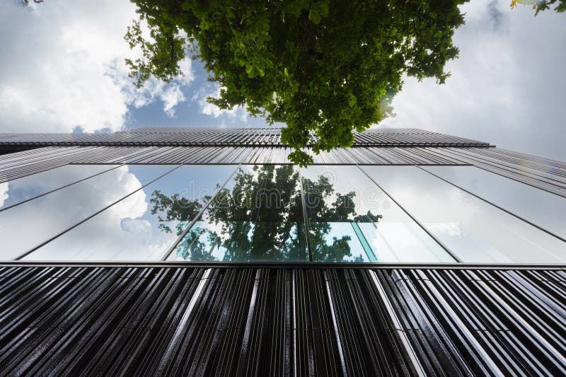 A Tree Reflected in the Modern Windows Stock Photo - Image of windows ...