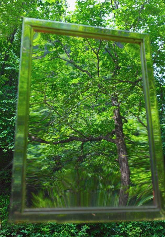 Tree reflection stock image. Image of clear, bright, abstract - 20283357