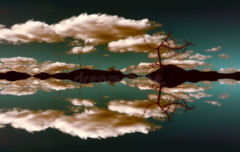 Tree reflection abstract stock photo. Image of nature - 118703450