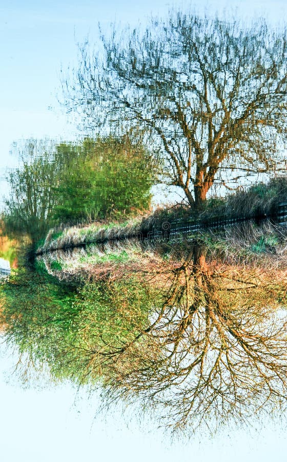 Tree Reflection on Canal, Inverted Stock Photo - Image of daisy ...