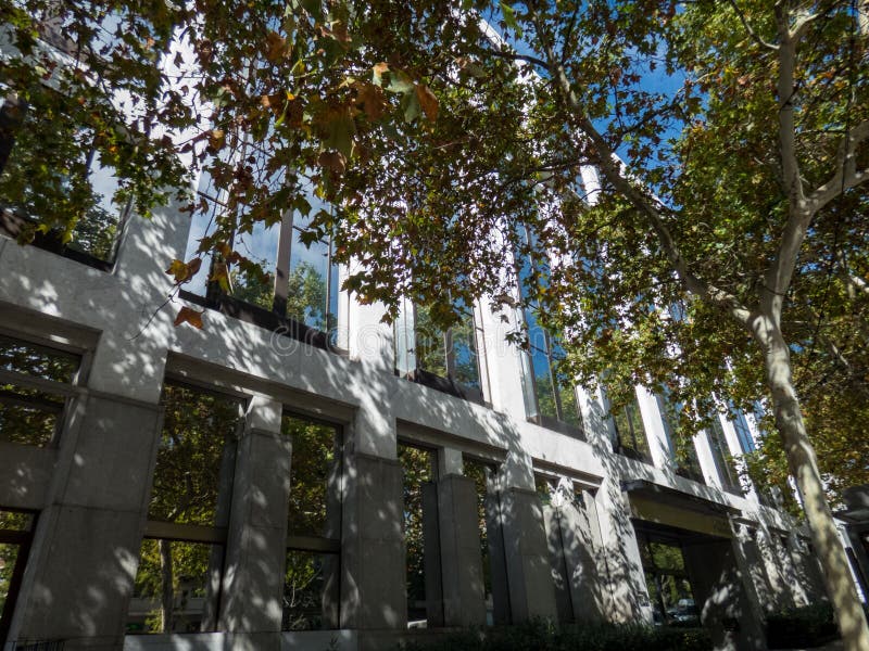 Tree Reflection in the Glass Windows of Modern Building in Madrid ...