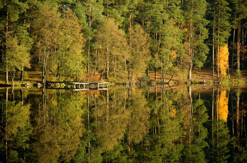 Tree Reflection in the Lake Stock Photo - Image of river, landscape ...