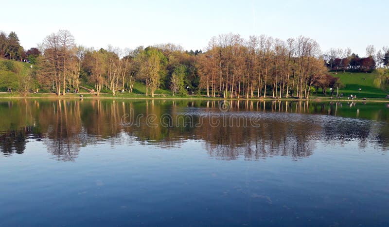 Lake shore in spring stock photo. Image of calm, meadow - 115683300