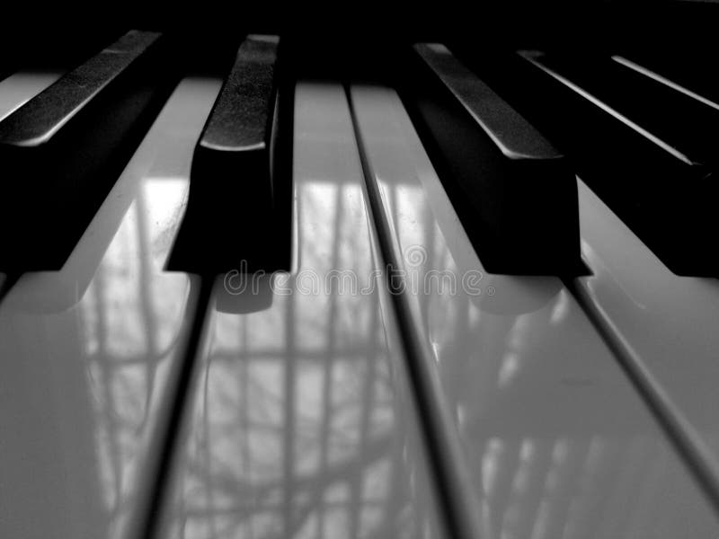 Tree Reflection on Piano Keys Stock Photo - Image of beauty, tree ...