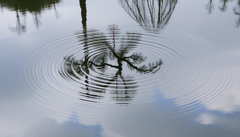 Tree Reflection in Ripples, Stock Photo - Image of ripples, landscape ...