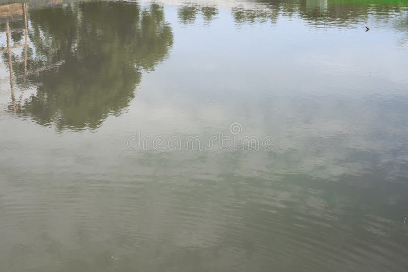 Tree Reflection River Beautiful in Nature Stock Image - Image of autumn ...