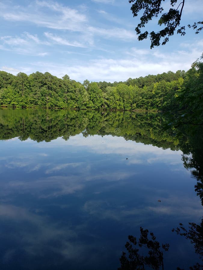 Tree Reflection Side View Afternoon Stock Photo - Image of afternoon ...