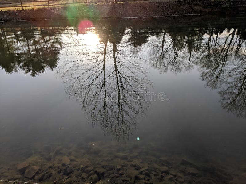 Tree Reflection stock image. Image of rocks, reflection - 144421213