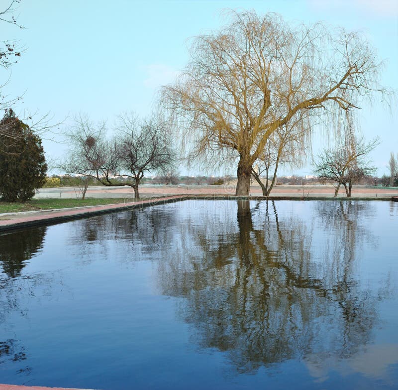Tree reflection in water stock image. Image of nature - 13890135