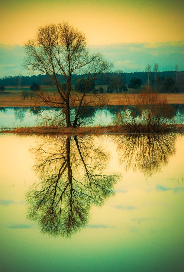828,042 Tree Reflection Water Stock Photos - Free & Royalty-Free Stock ...