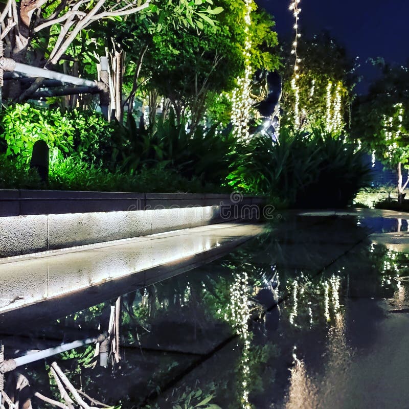 Tree Reflection Water Natural Light Stock Image - Image of waterway ...