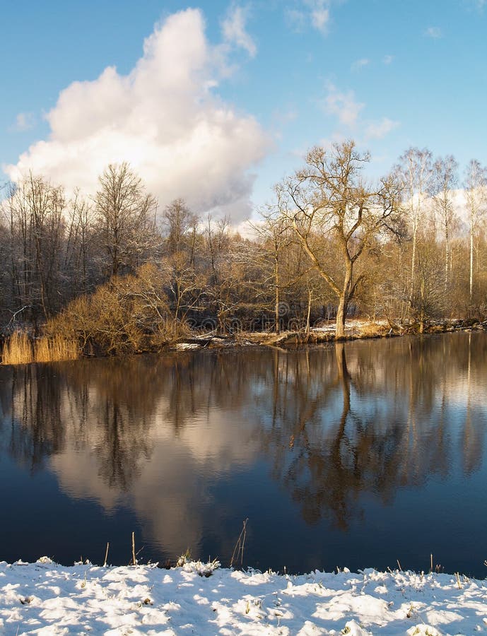 Tree Reflection on Water Mirrow. Stock Photo - Image of blue, lake ...