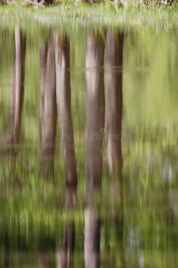 Reflections Picture. Image: 85045