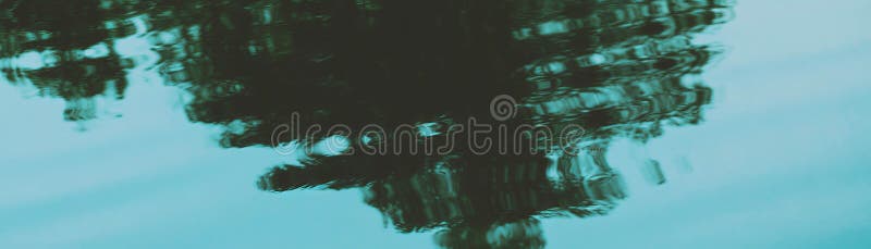 Tree Reflections Create Abstract Shapes in Still Water with Halftone ...