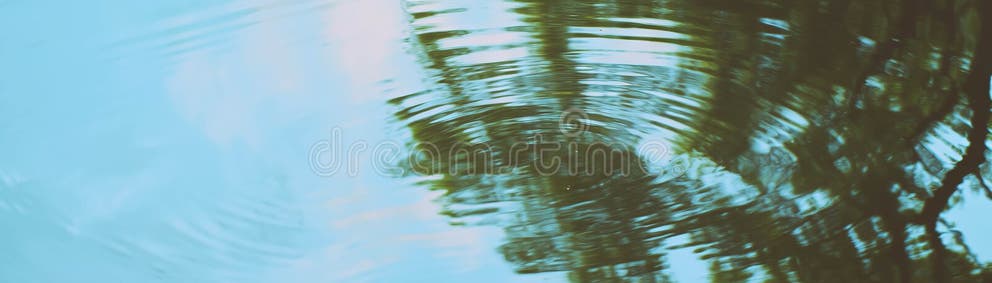 Tree Reflections Create Distorted Shapes in Calm Water with a Halftone ...