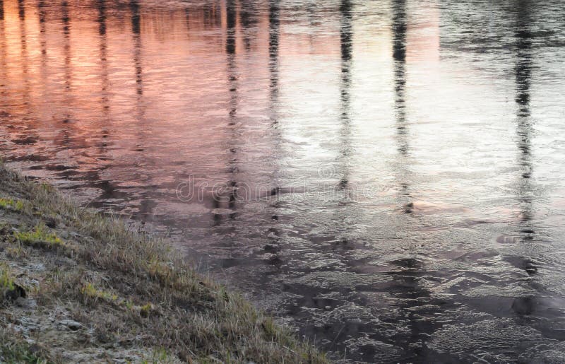 Tree Reflections in Freezing Water Stock Image - Image of water ...