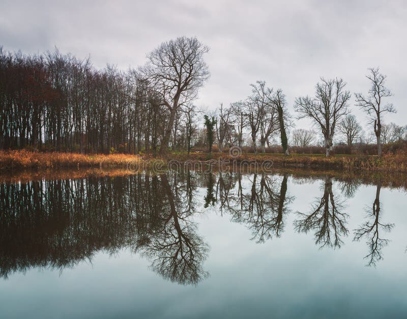 Tree reflections in lake stock image. Image of december - 135793069