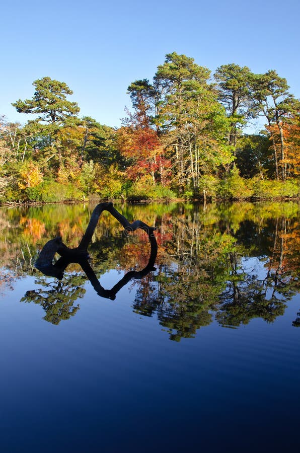 Autumn tree reflections stock image. Image of water, colorful - 29956783