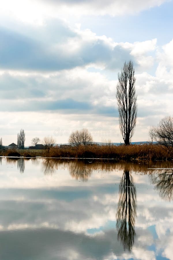 Tree Reflections on the Water Stock Photo - Image of river, trees: 29365226