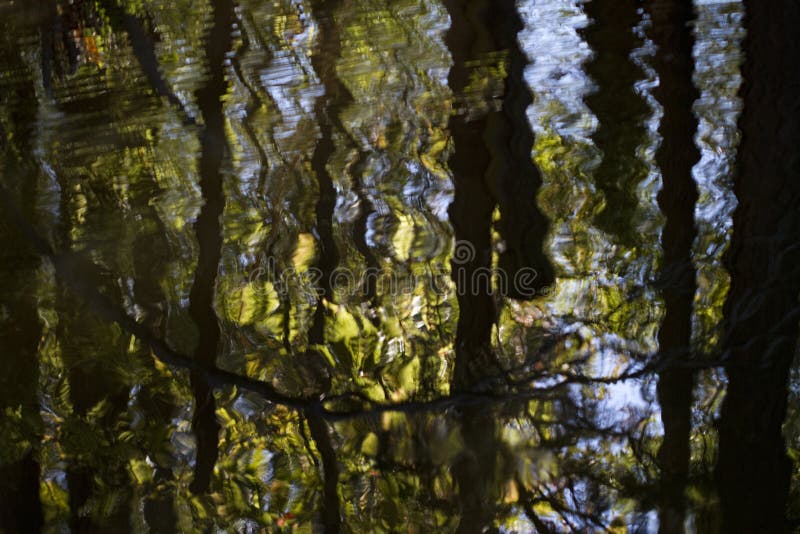 Tree Reflections in Water Background Stock Image - Image of pond, tree ...