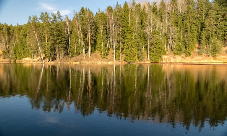 Tree reflections in water stock photo. Image of water - 178746902