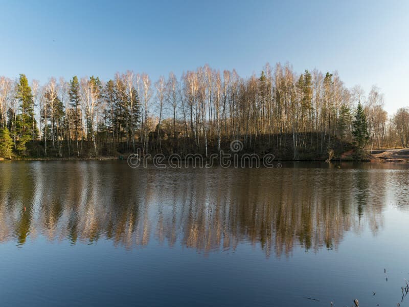 Tree reflections in water stock image. Image of reflection - 179961513