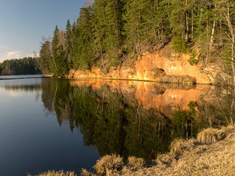 Tree Reflections in Water, Early Spring Landscape Stock Photo - Image ...