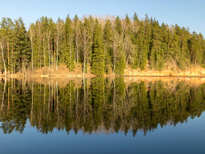 Tree reflections in water stock photo. Image of reflections - 177684148