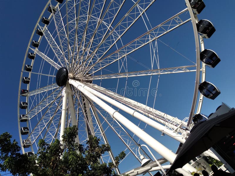 Tree Ride Building People Seats Stock Image - Image of people, tree ...
