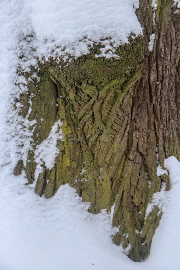 Ice snow rift crevasse stock photo. Image of boulders - 166585592