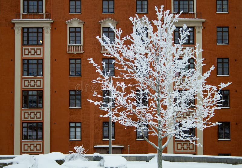 Tree with rime stock photo. Image of architecture, brick - 12648944