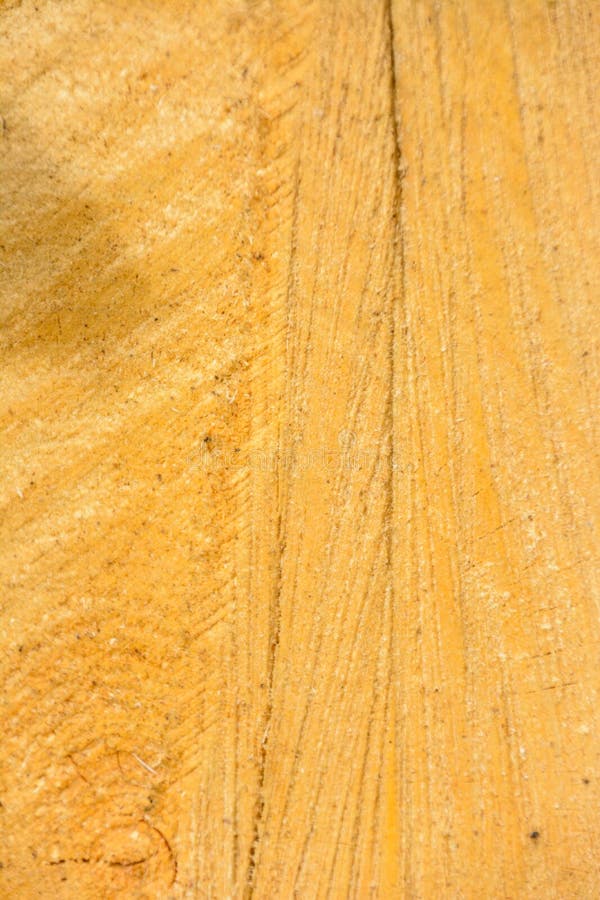 436 Cut End Wood Tree Log Slice Photos - Free & Royalty-Free Stock ... 436 Cut End Wood Tree Log Slice Photos - Free & Royalty-Free Stock ...