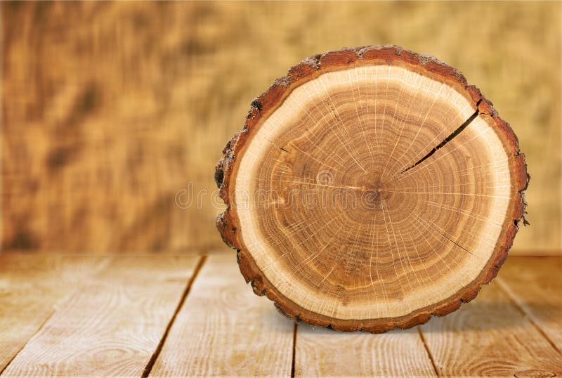Tree Ring stock photo. Image of trunk, pine, industry - 72401290