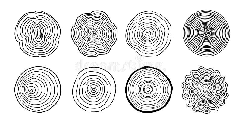 Tree Ring Wood Circle Set. Hand Drawn Tree Ring Pattern, Line Ripple ...