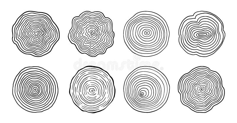 Tree Ring Wood Circle Set. Hand Drawn Tree Ring Pattern, Line Ripple ...
