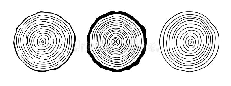 Tree Ring Wood Circle Set. Hand Drawn Tree Ring Pattern, Line Ripple ...