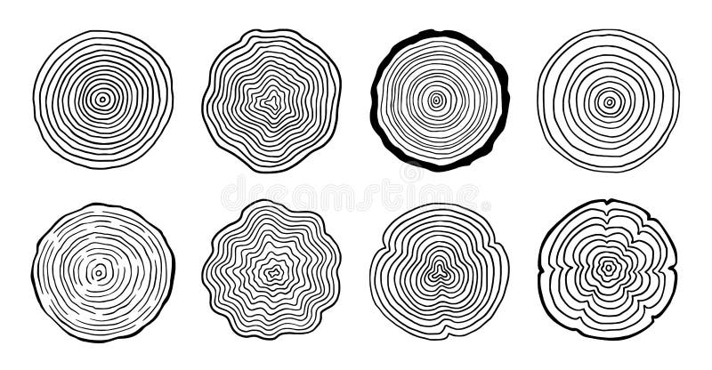 Tree Ring Wood Circle Set. Hand Drawn Tree Ring Pattern, Line Ripple ...