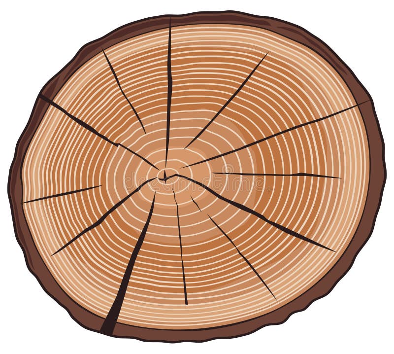 Tree rings stock vector. Illustration of rough, environment - 27421253