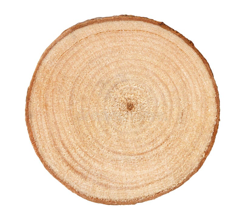 Tree rings stock photo. Image of brown, material, trunk - 23785812