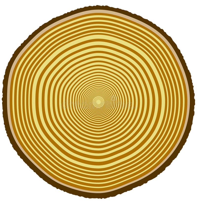 Tree Rings stock photo. Image of backgrounds, natural - 7116330