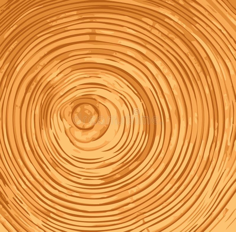 Tree Rings stock illustration. Illustration of trees, material - 3347946
