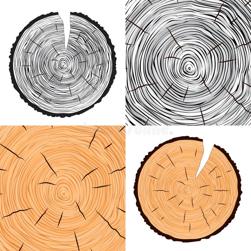 Vector Conceptual Background Tree Rings Stock Illustrations – 451 ...