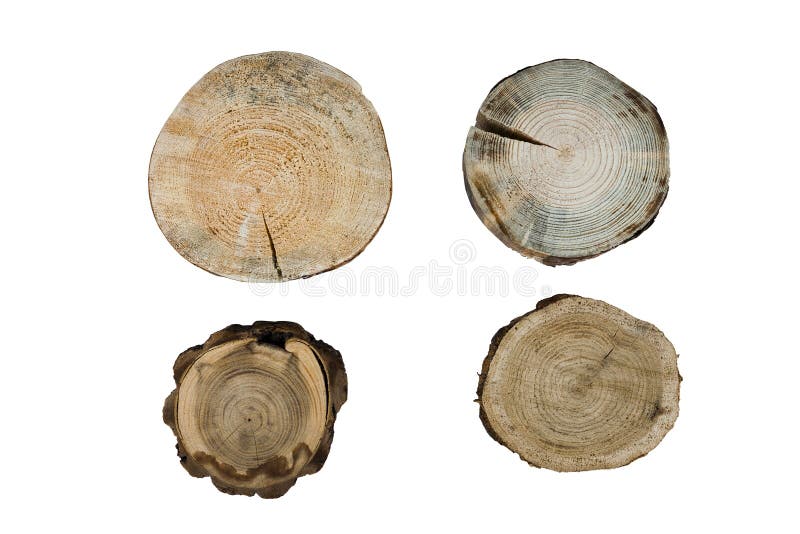 Tree rings stock photo. Image of brown, material, trunk - 23785812