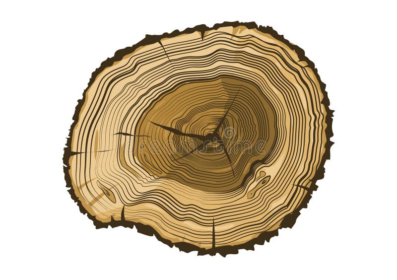 Tree Rings, Cross Section of a Tree Stock Vector - Illustration of ...