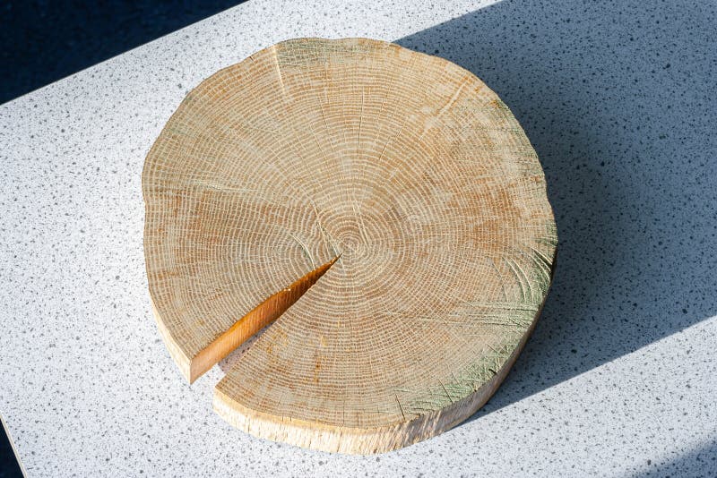 Tree Rings or Growth Rings of a Tree Stock Image - Image of change ...