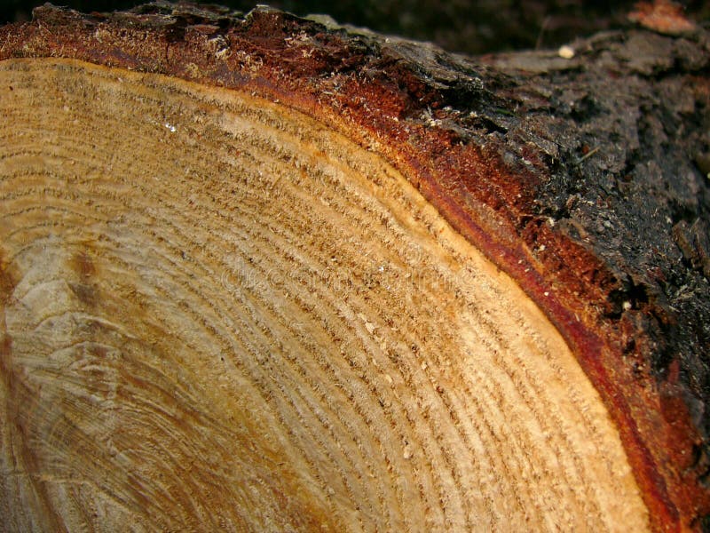 Ragged Crop of Rocks Overlooking Peek Hill Cairns and Cist Dartmoor ...