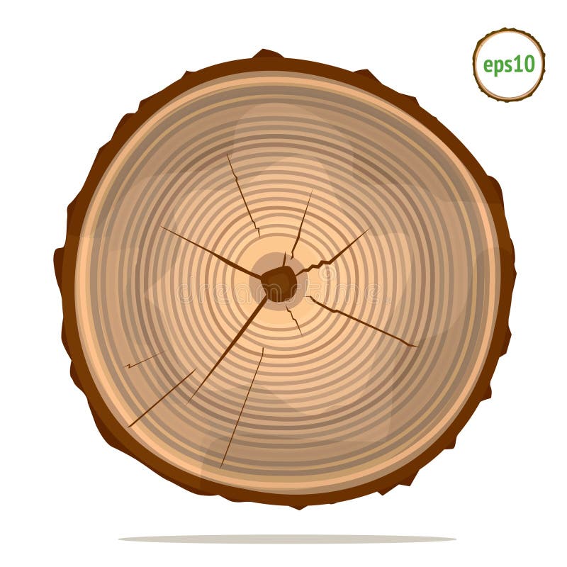 Tree Log Rings Stock Illustrations – 1,669 Tree Log Rings Stock ...