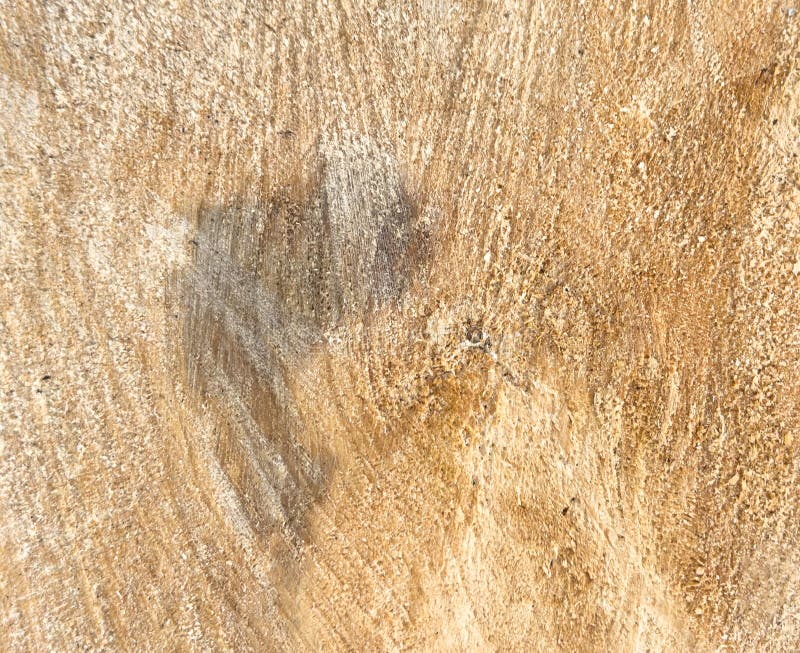 Tree Rings Old Weathered Wood Texture with the Cross Section of a Cut ...