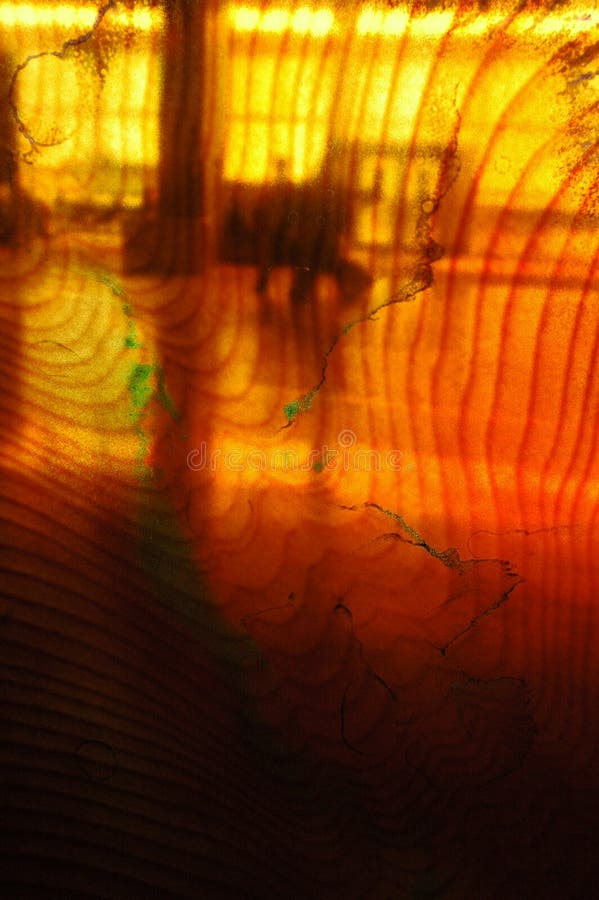 Tree Rings, People Talk Picture. Image: 162501667