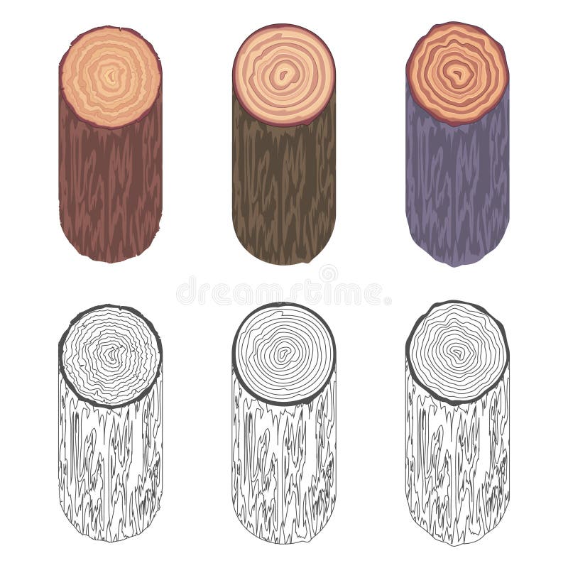 Tree Rings Saw Cut Tree Trunk Barrel Bark Natural Decorative Design ...